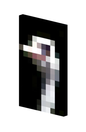 Zeqa's Web Application